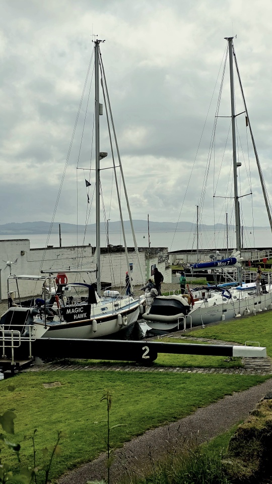 Safe harbour | snapper | Blipfoto