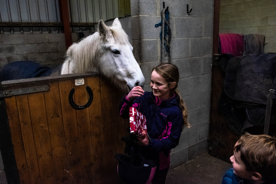 Reunited | Ian60 | Blipfoto