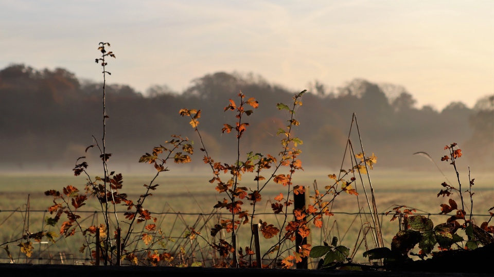 Finally | Sue_H_photos | Blipfoto