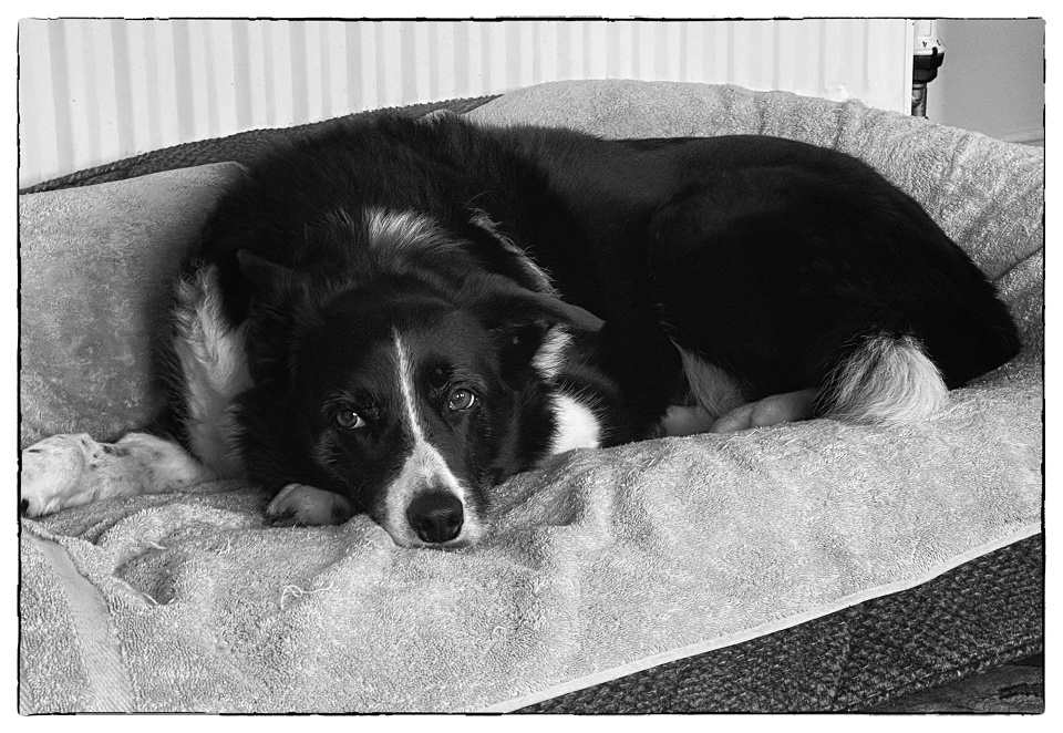 Not A Lot To Blip Today So Marpaul Blipfoto