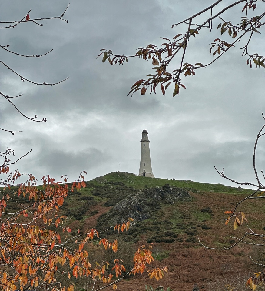 Hoad | Technophobe | Blipfoto
