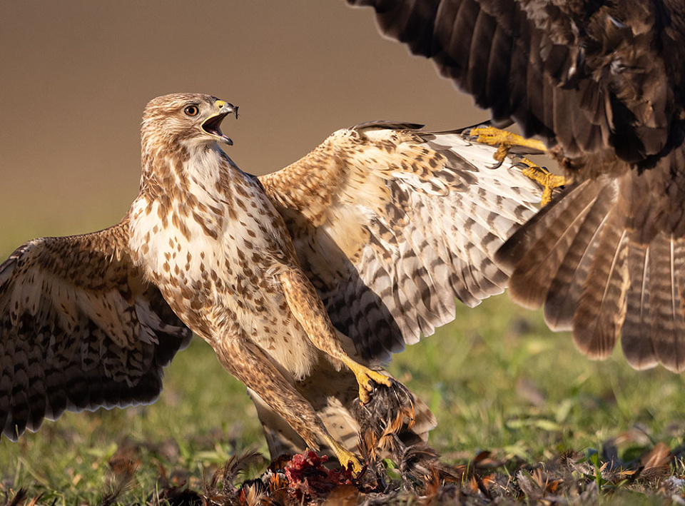 Hold On | Hillyblips | Blipfoto