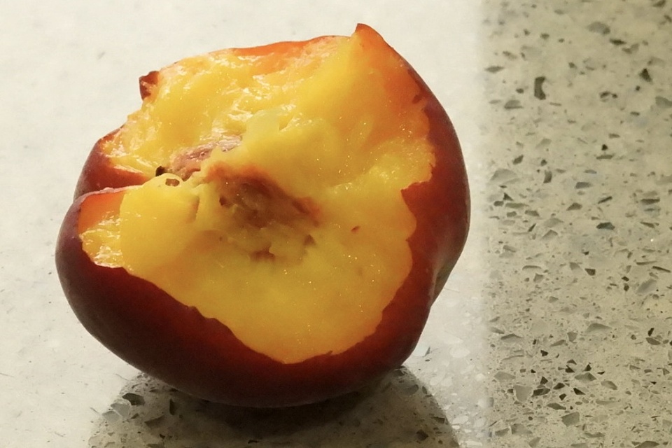 Tiny Tuesday | 59 | Blipfoto