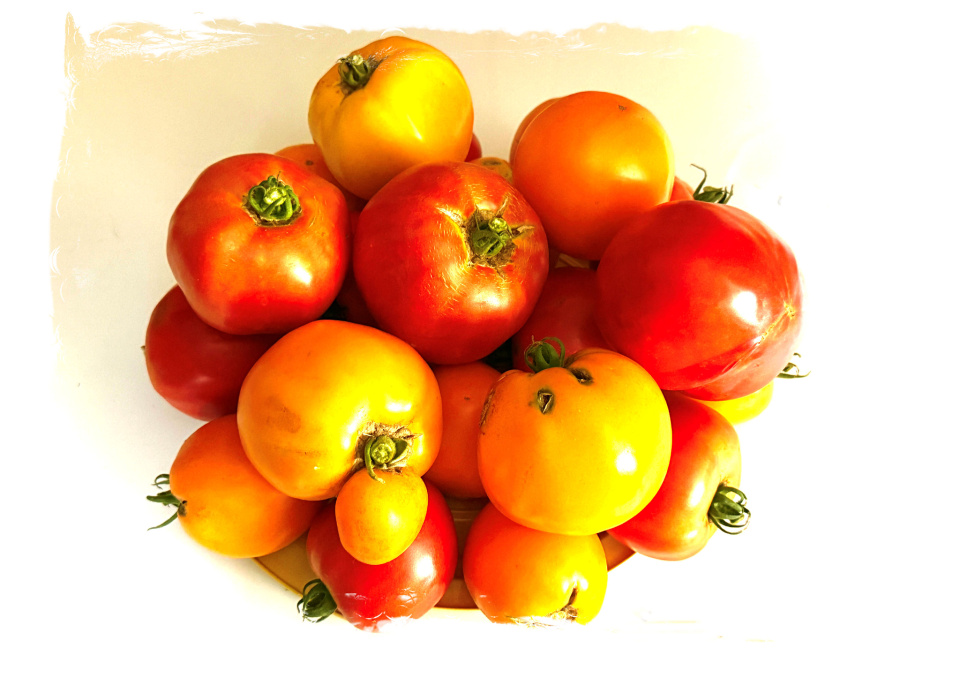 Red and Gold | cindy_ellis | Blipfoto