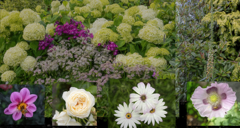 Open Gardens | Green56 | Blipfoto