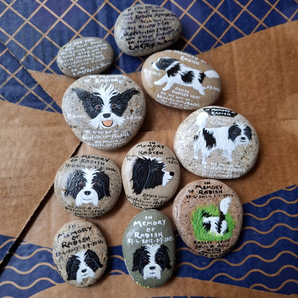 More Radish Stones | TKM | Blipfoto