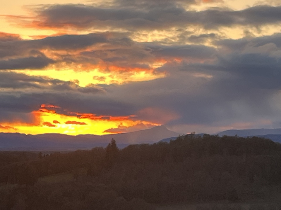 Nature .." red in tooth and claw" | Libra | Blipfoto