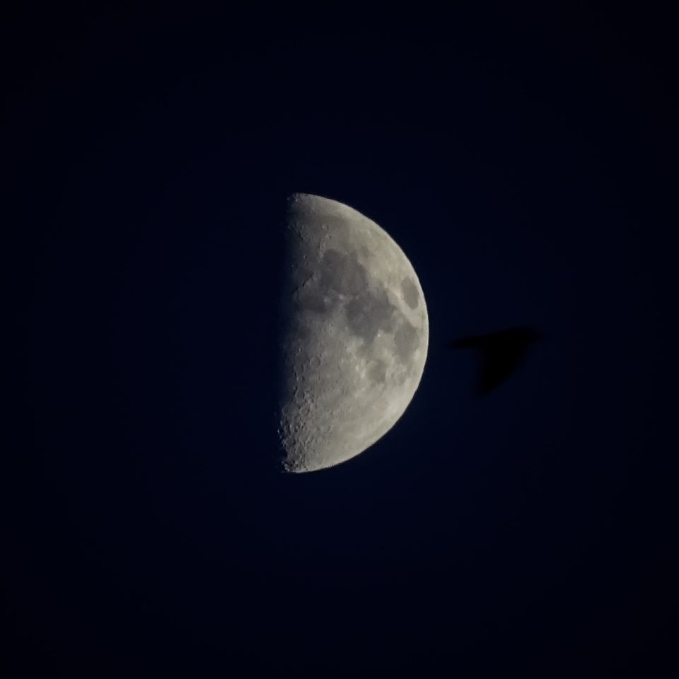 Moon, Run, Party | ROBERT10 | Blipfoto