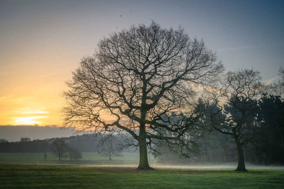 Just a Hint of Mist | GrahamColling | Blipfoto