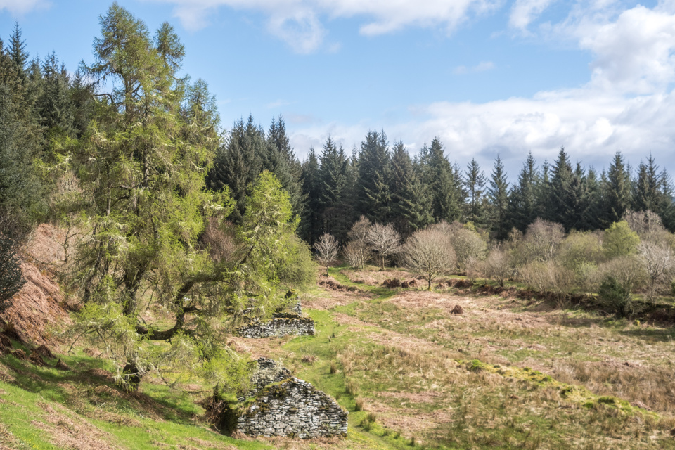 Kilmory Oib | MotherShipton | Blipfoto