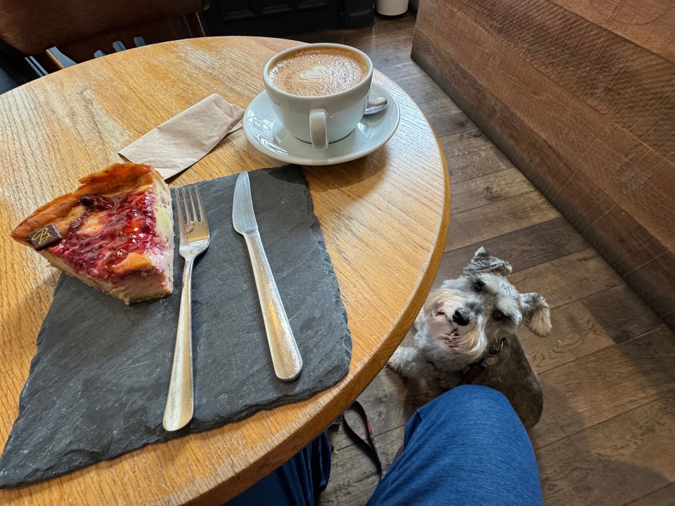 This is getting a bit tedious… | LadyMarchmont | Blipfoto