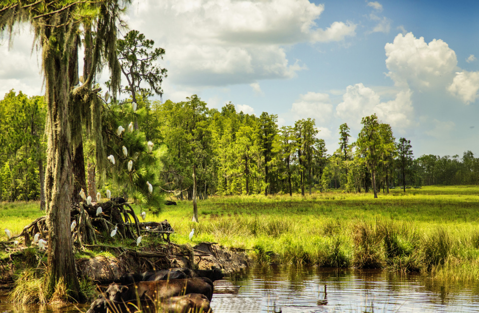 Tried It Again | bugsman | Blipfoto