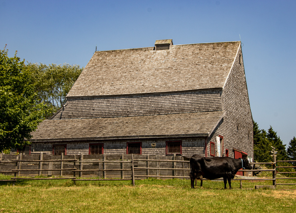 Cole Harbour Heritage Farm | KathyH58 | Blipfoto