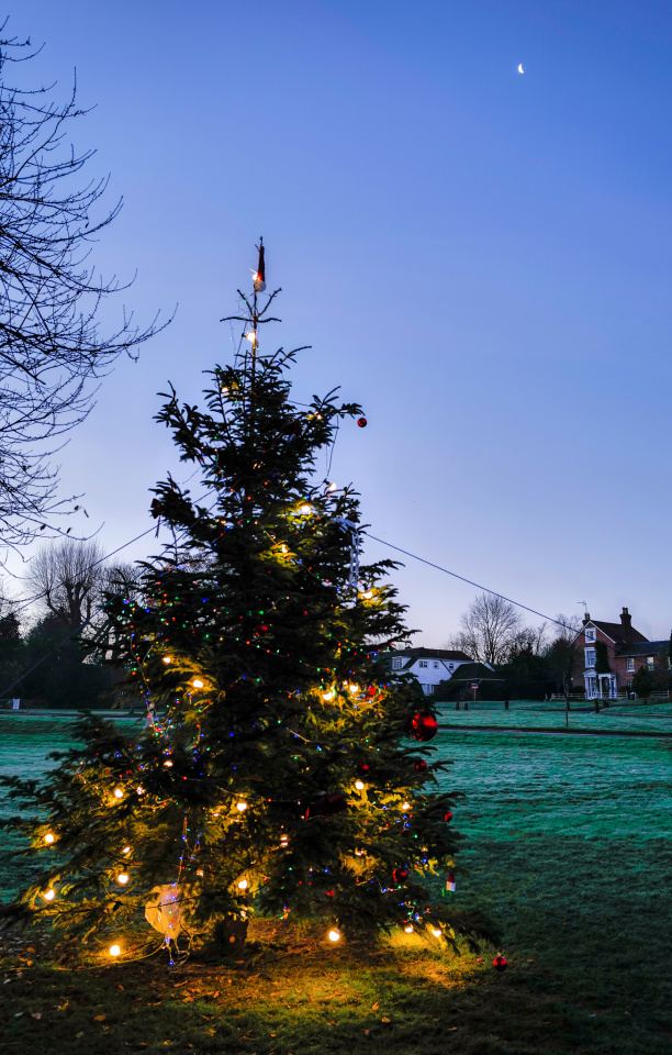 Crescent Moon and Christmas Tree | catspaw | Blipfoto