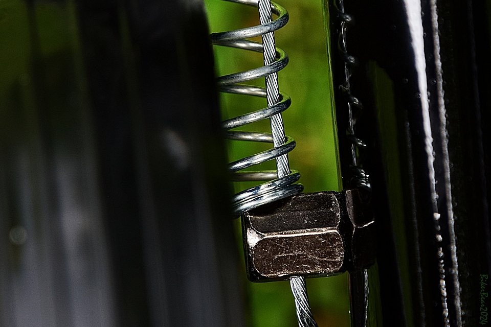 Tiny ................ | BikerBear | Blipfoto