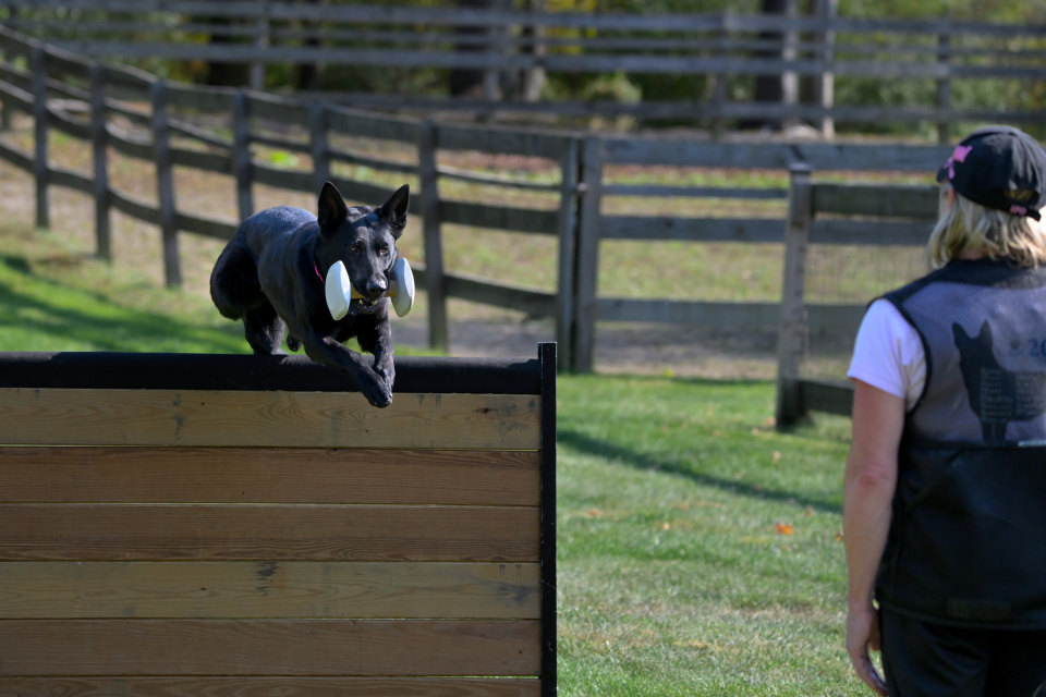 Better... | dbifulco | Blipfoto