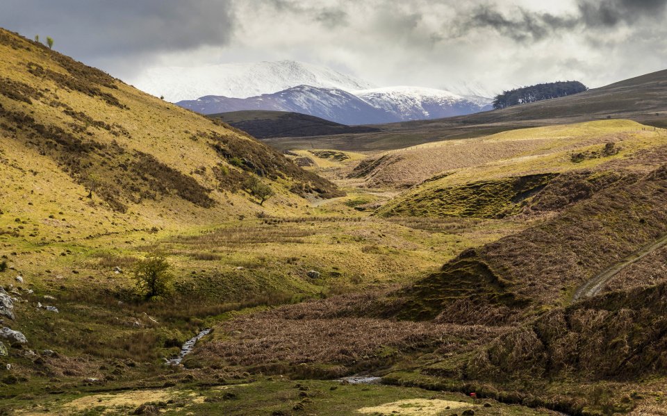 Fantastic Morning Wander. | ByBrian | Blipfoto