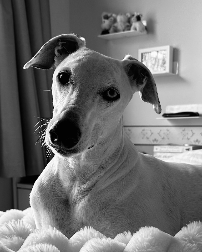 Every picture... | Amanda_T | Blipfoto