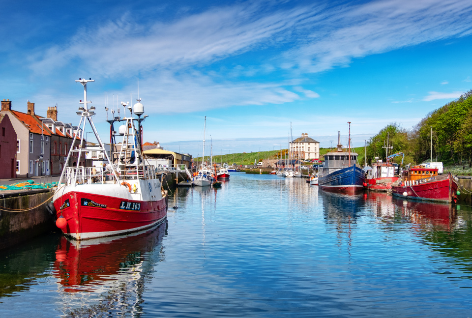 Eyemouth Harbour | RockArea | Blipfoto
