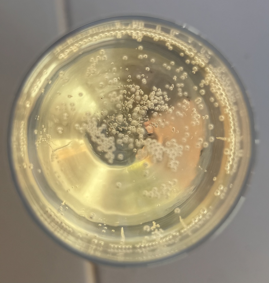 Back home | chrispybox | Blipfoto