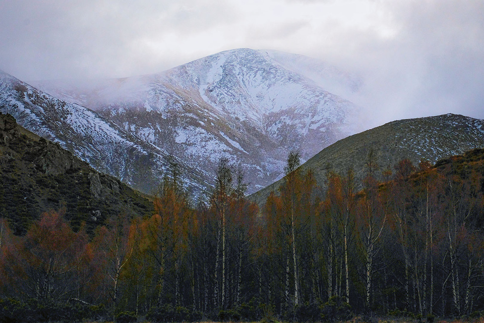 Spring snow in the mountains | mpp26 | Blipfoto