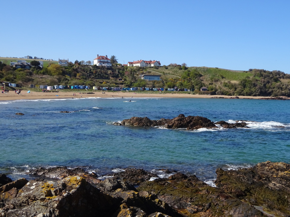 Coldingham Bay | Teasel | Blipfoto