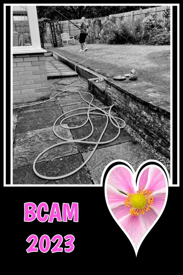 MONO MONDAY - CORD AND BCAM DAY 2 | Honeycombebeach | Blipfoto