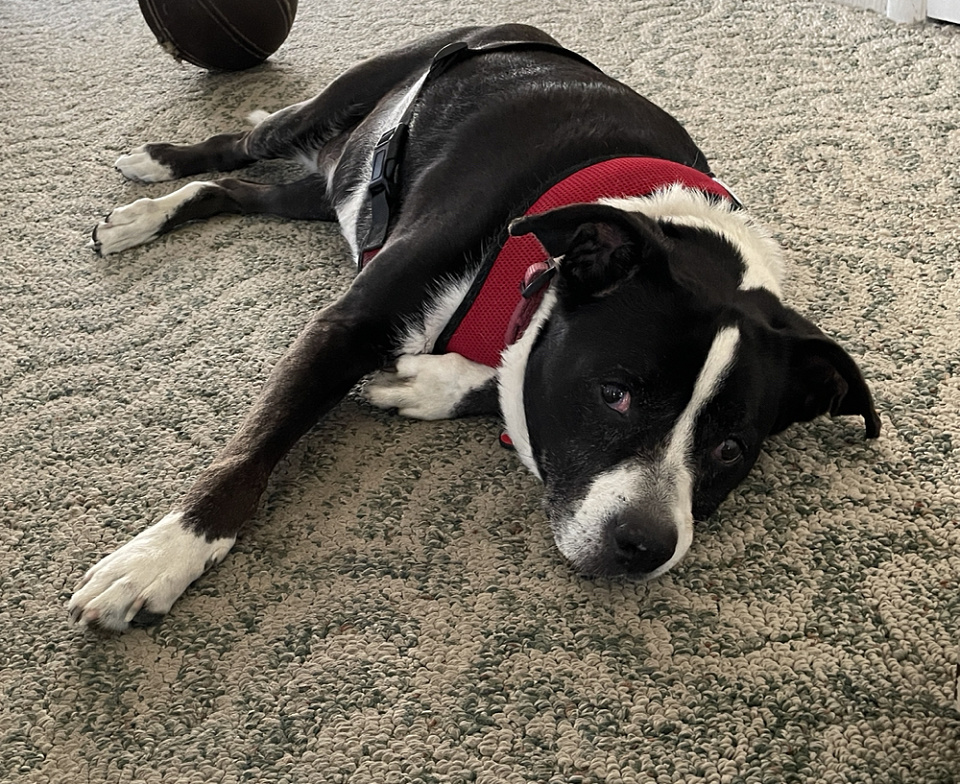 Roxxy | Kimb | Blipfoto