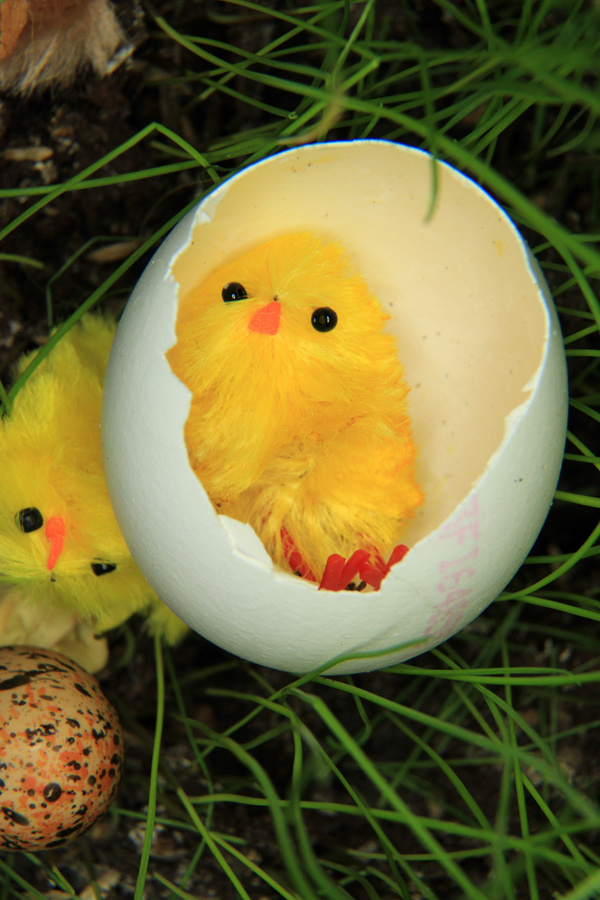 It's Easter Time | joesblips | Blipfoto