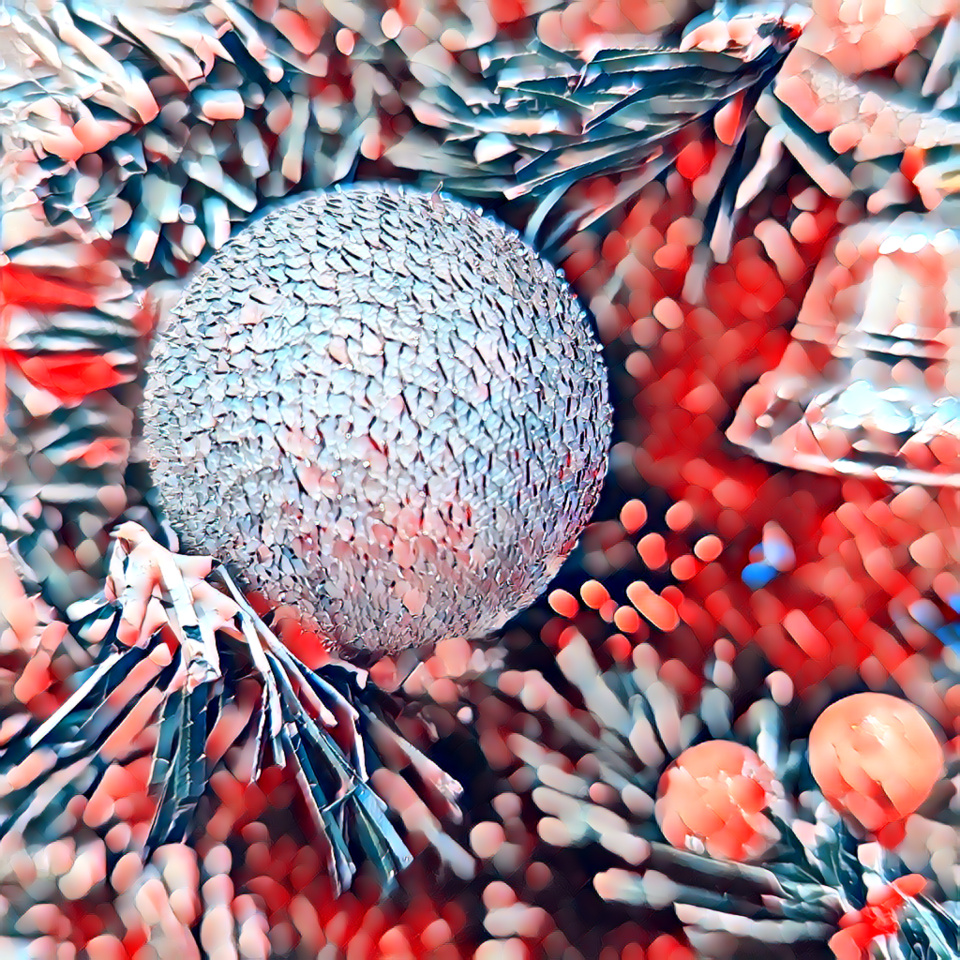 A festive blip... | 60plus | Blipfoto