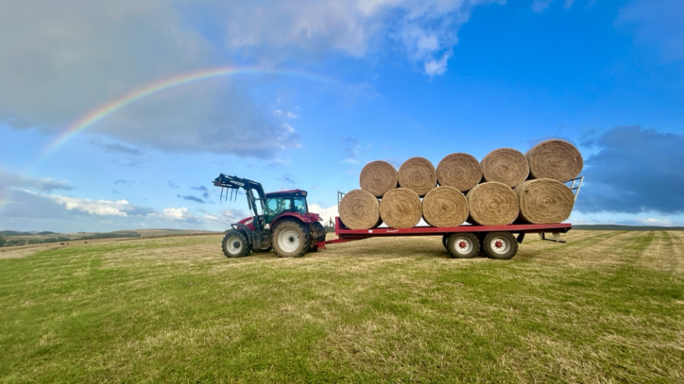 Rainbow warrior….. | Farmerboab | Blipfoto