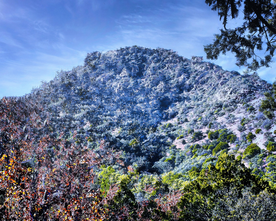 back blip by a... | laurie54 | Blipfoto