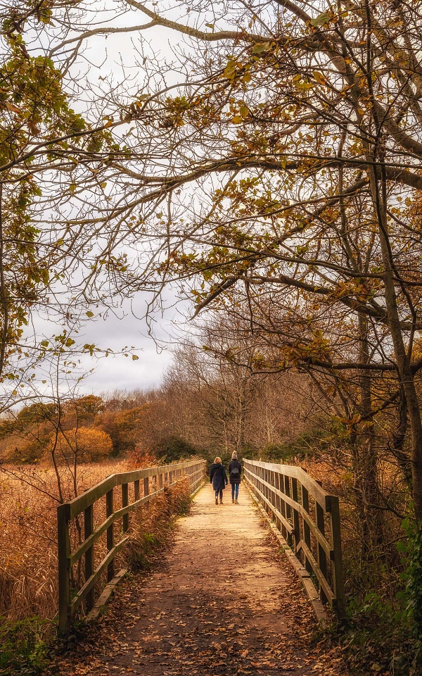 Chilly Autumn Day | AH14 | Blipfoto