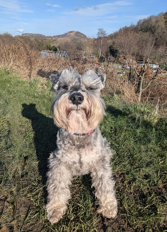 Smile, Archie! | LadyMarchmont | Blipfoto