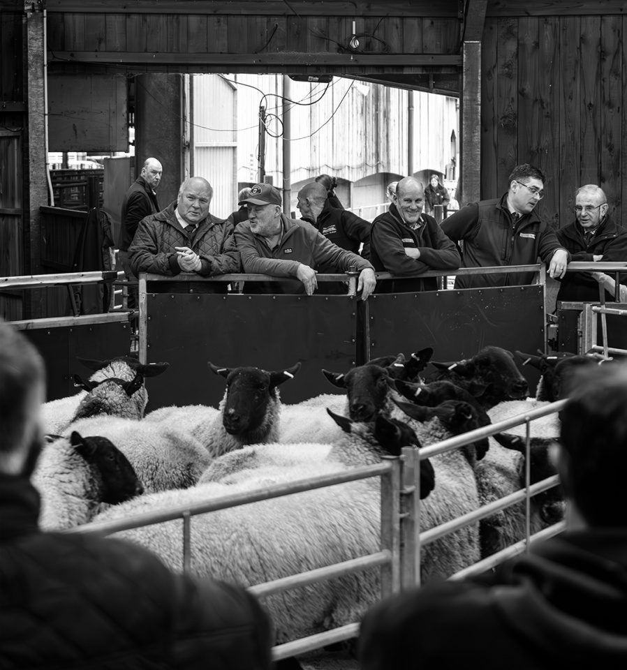 Hexham Mart | walkingMarj | Blipfoto