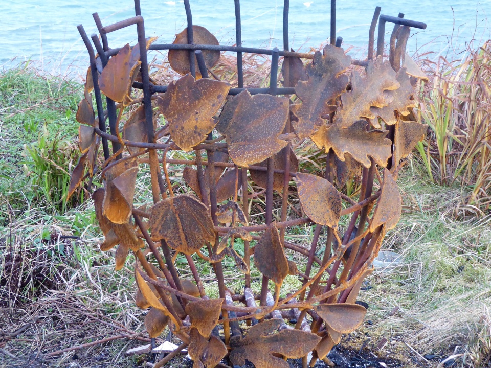 Rust | Poppy | Blipfoto