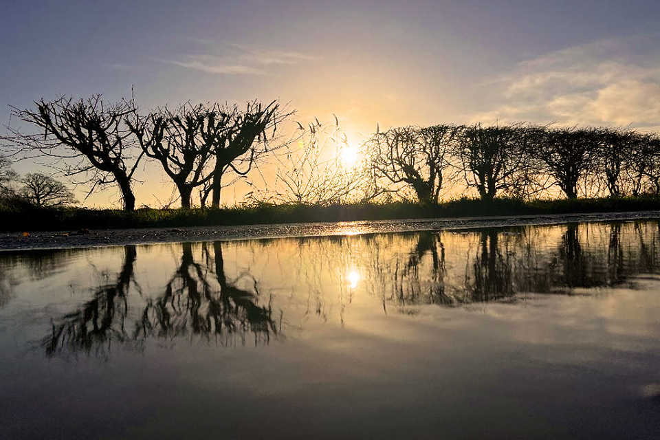 After the rain | captureasecond | Blipfoto