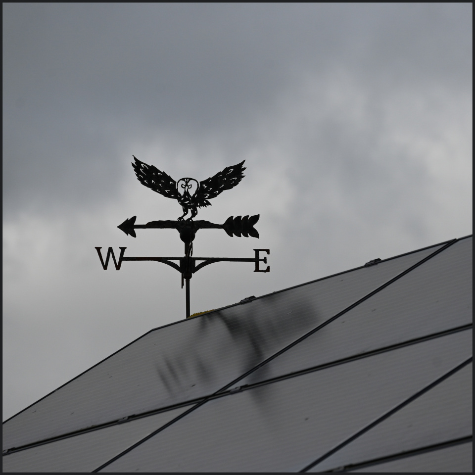 Weather Owl | Chrelizg21 | Blipfoto