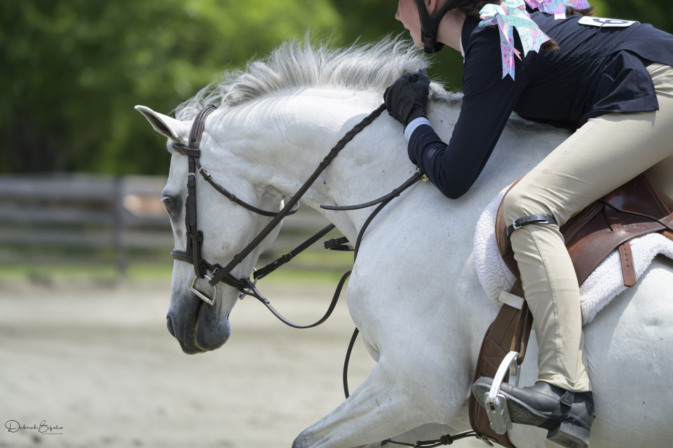 Break the Rules | dbifulco | Blipfoto