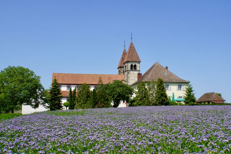 Island of Reichenau | bababarbara | Blipfoto