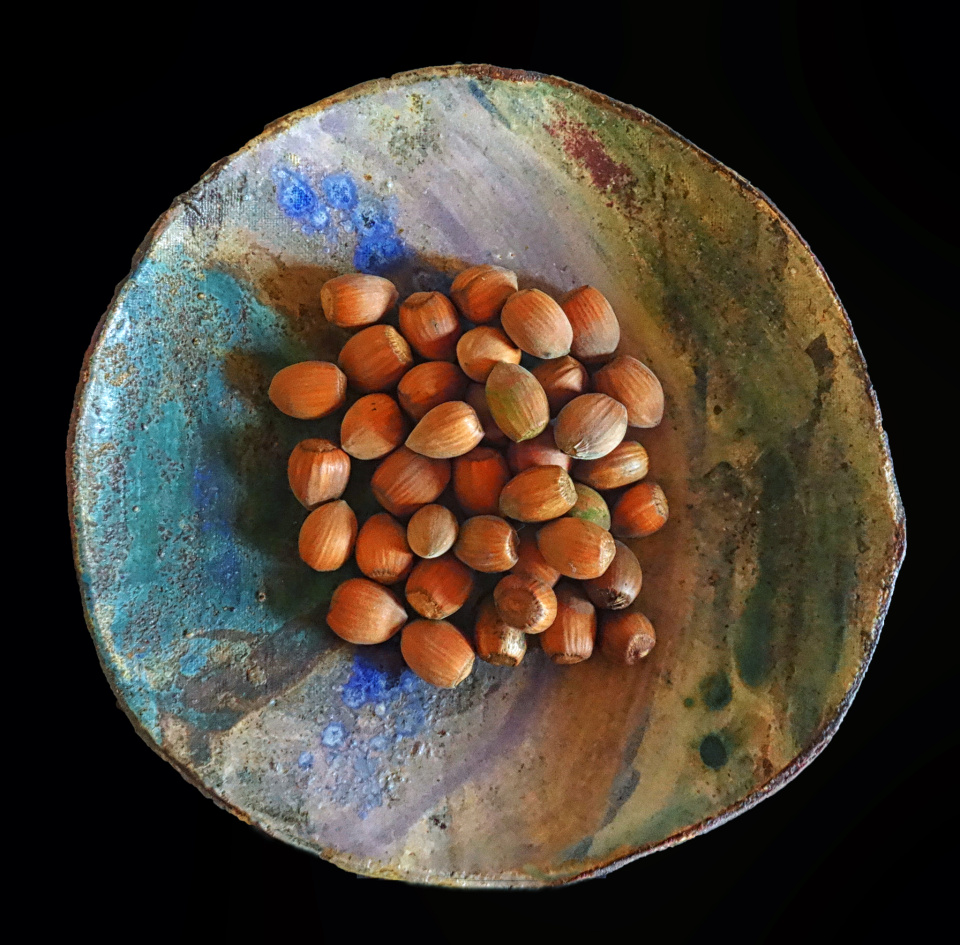 Gathering nuts in February | Talpa | Blipfoto