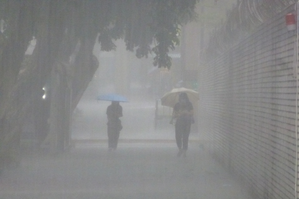 rain | monkus | Blipfoto