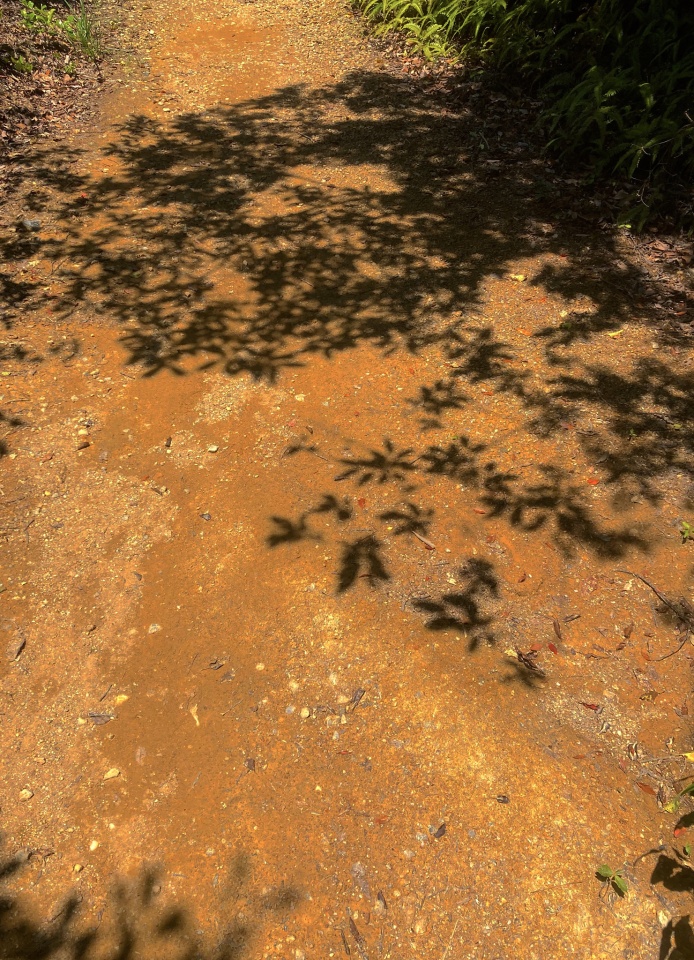 PM0:57 Shadows. | takaya | Blipfoto