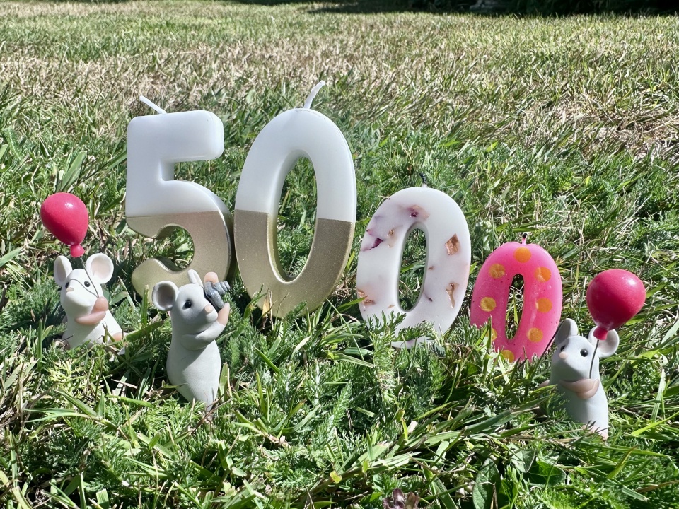 5,000th Blip | RedFlash | Blipfoto