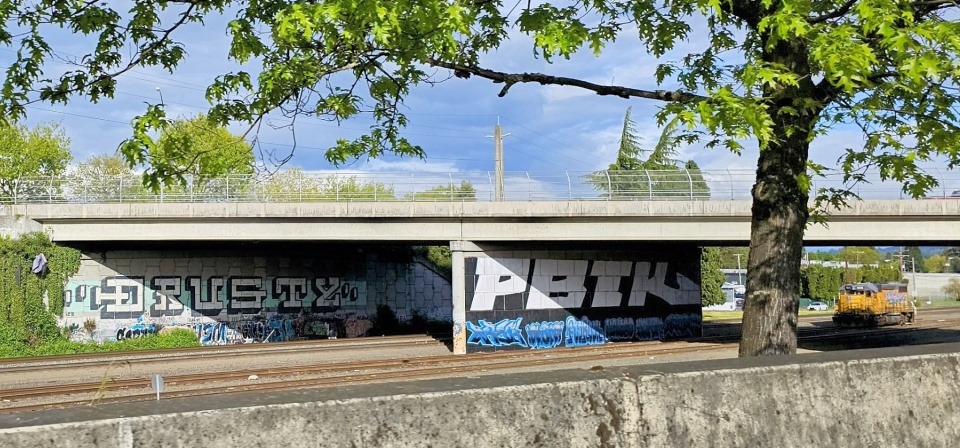 Railroad Overpass Graffiti | RonaldBerry | Blipfoto