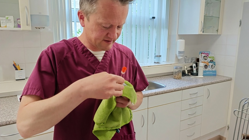 There we go again.... | ellenparrots | Blipfoto