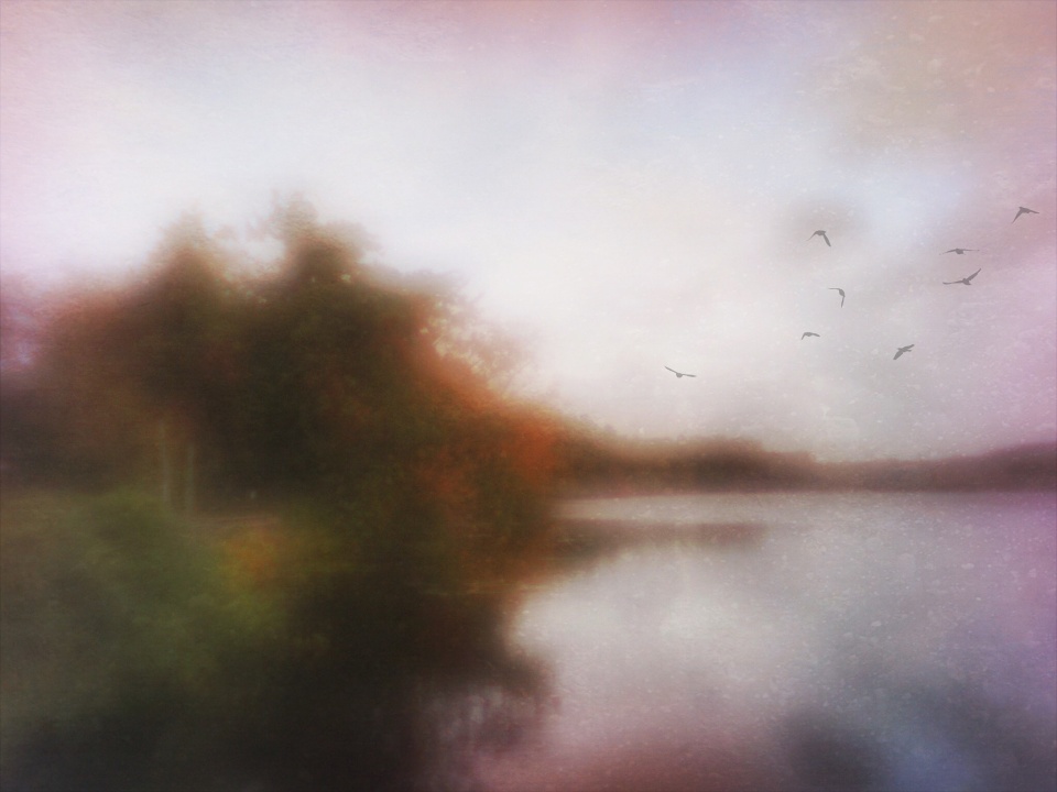 Yaphank lake obscured | Evie11 | Blipfoto