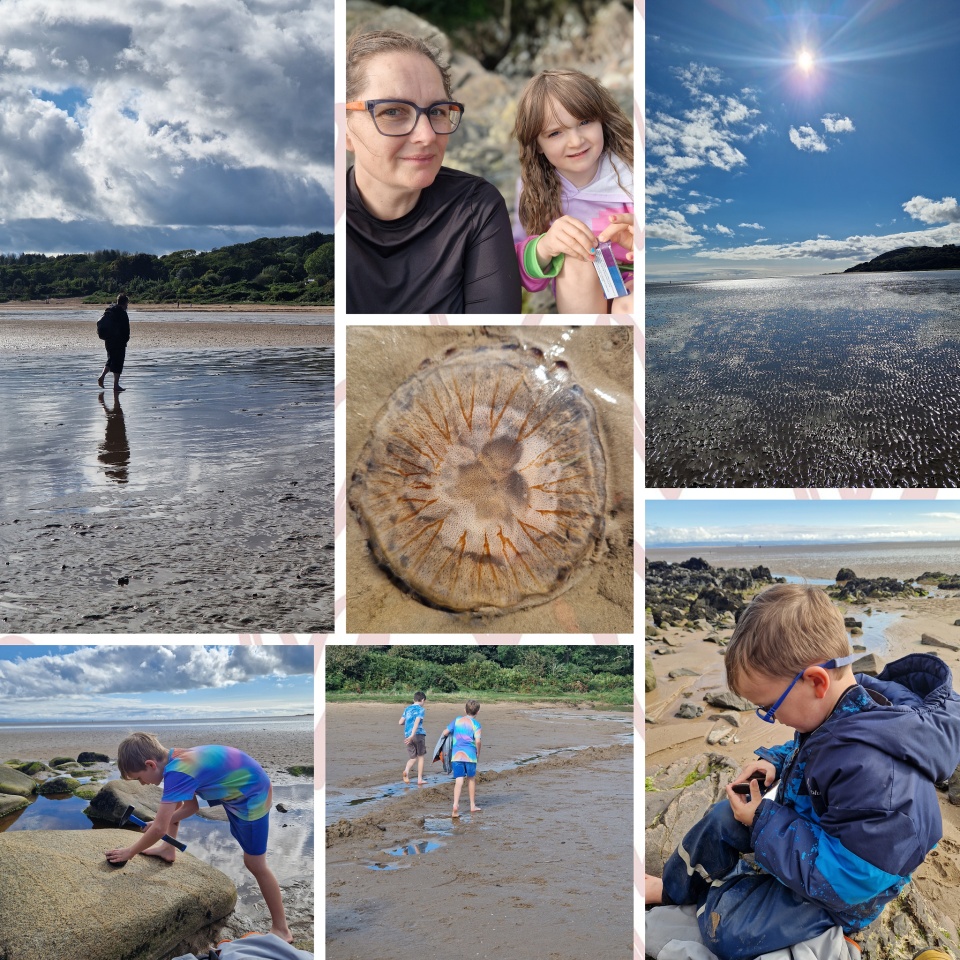 Out out | MumOf4Wildlings | Blipfoto