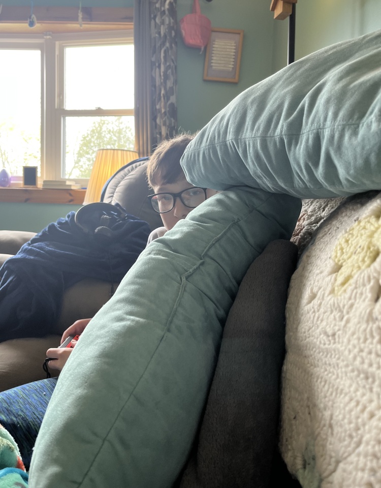 It Appeared From Behind The Pillows... | TurtleBug | Blipfoto