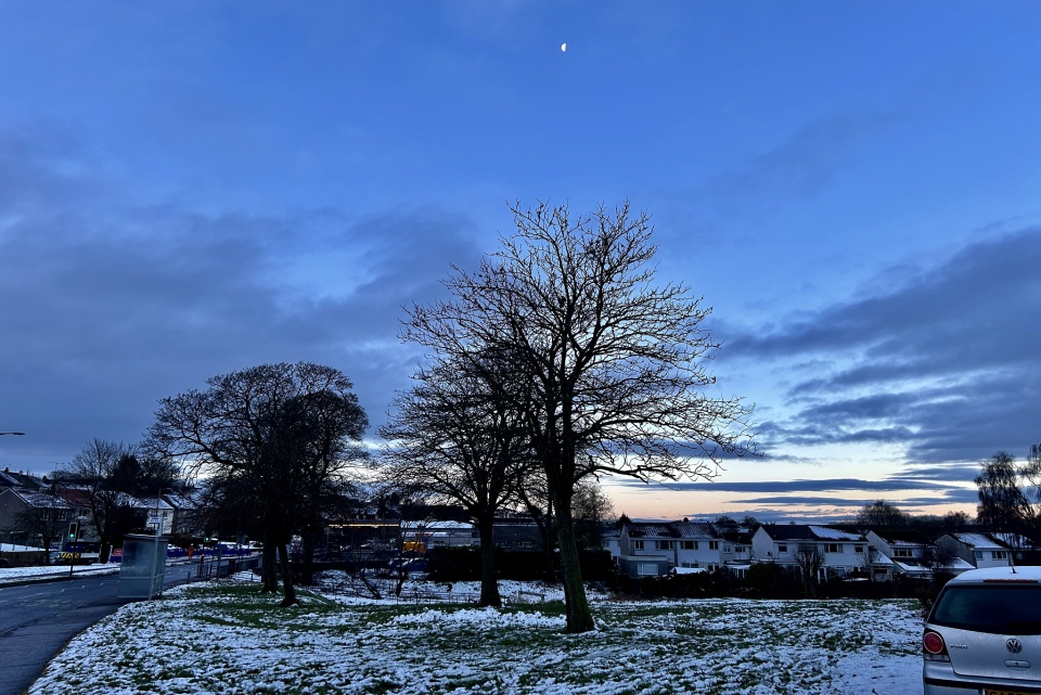 EARLY MORNING. | Larchlea | Blipfoto